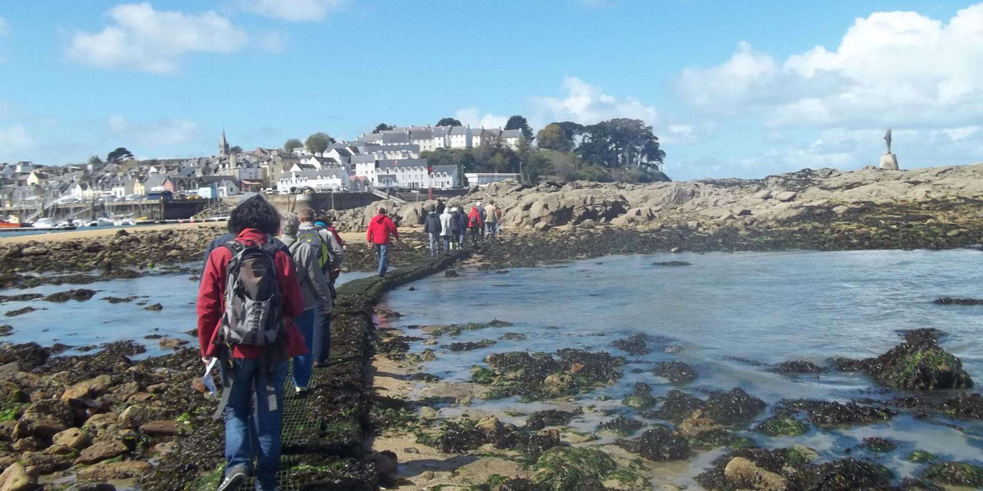 Tristan Island | Office de tourisme de Douarnenez