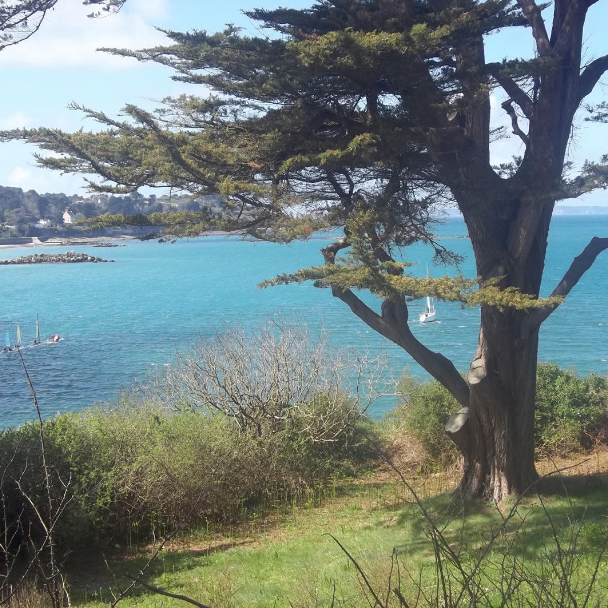Tristan Island | Office de tourisme de Douarnenez