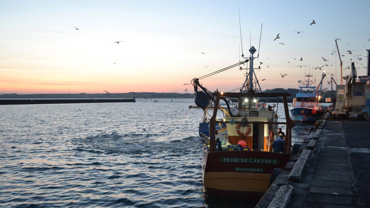 Le Port Rhu | Office de tourisme de Douarnenez
